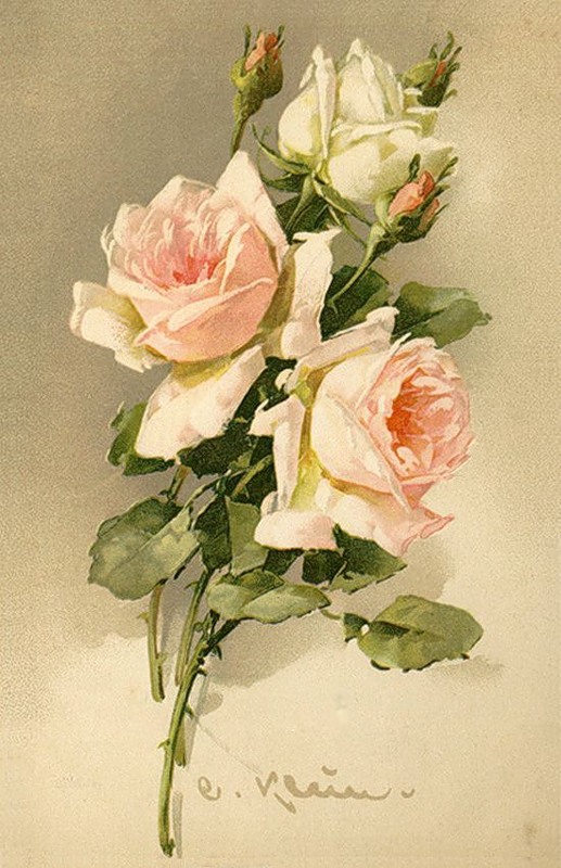 Alenquerensis: Catherine Klein (1861 - 1929) - A pintora das rosas ...