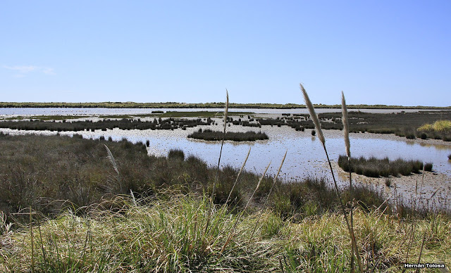 RESERVA NATURAL PUNTA RASA : RESERVA NATURAL PUNTA RASA