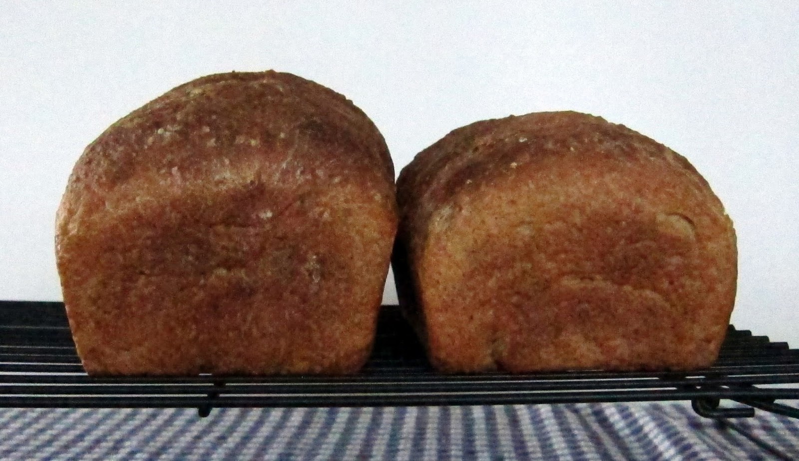 Oat Bread Revisited – Slices of Blue Sky