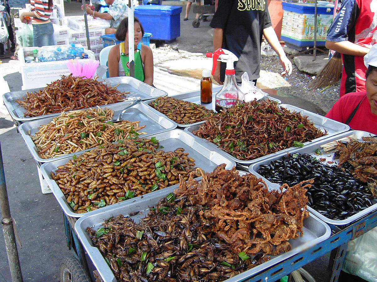 English Things: Entomophagy: What's for dinner? Insects!