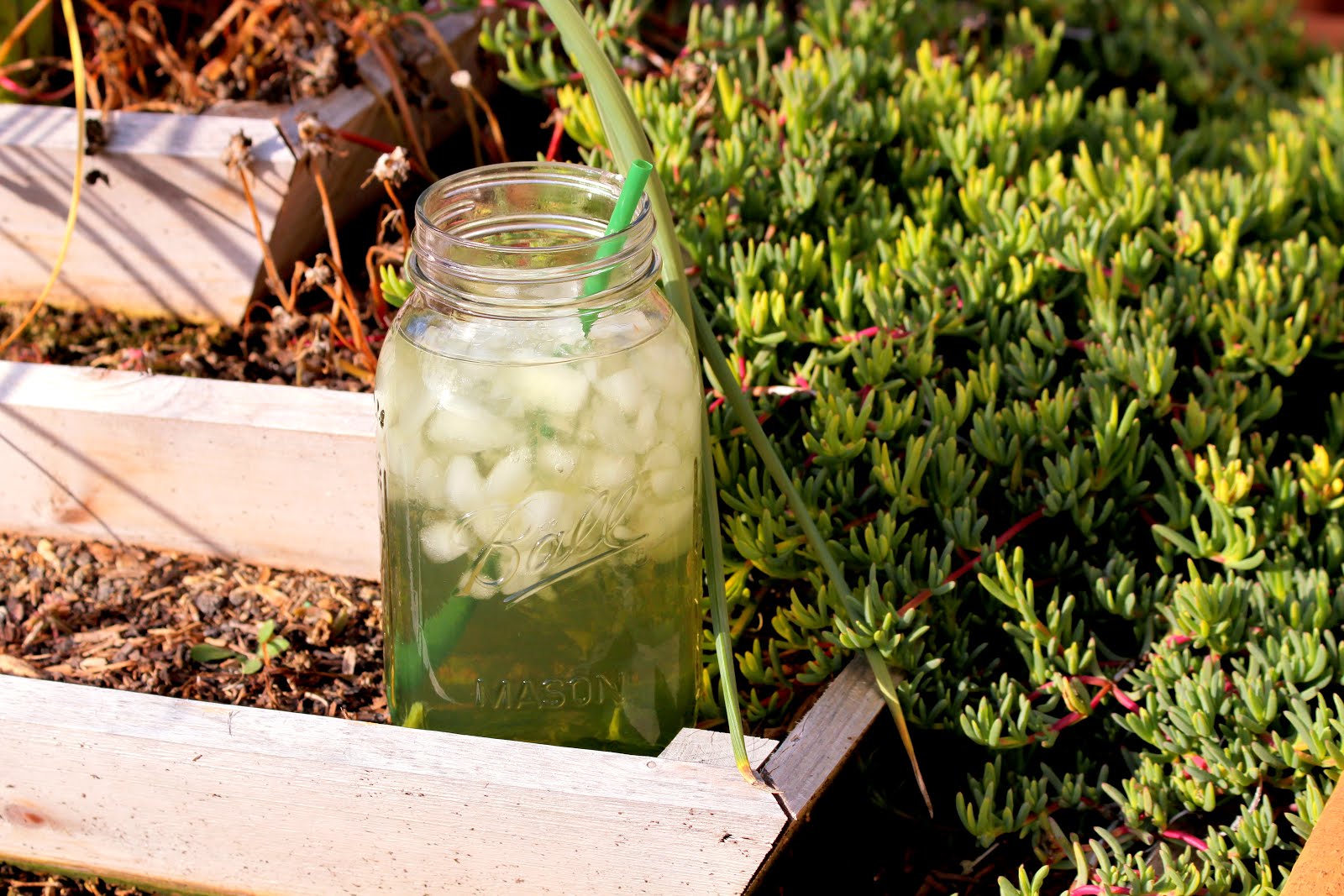 MERAKI: Nettle Tea