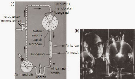 Teori Asal-Usul Kehidupan Abiogenesis Biogenesis Evolusi Kimia dan ...