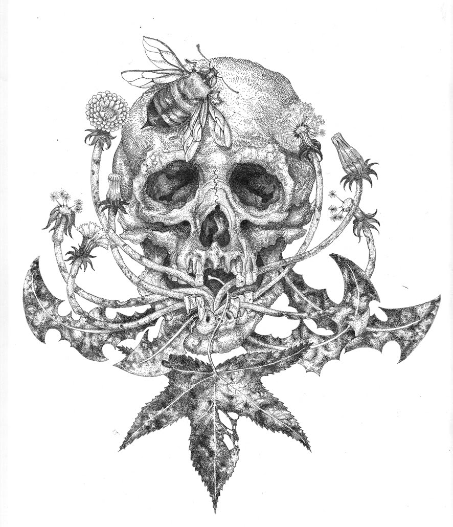 Mister Beaudry's drawings...: Skull with Bee... Post 100!