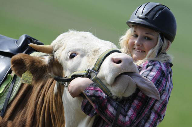 Young Girl Rides Tame Cow - Pix Magazine