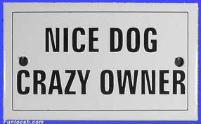 Paw Print City Times: Dog Signs