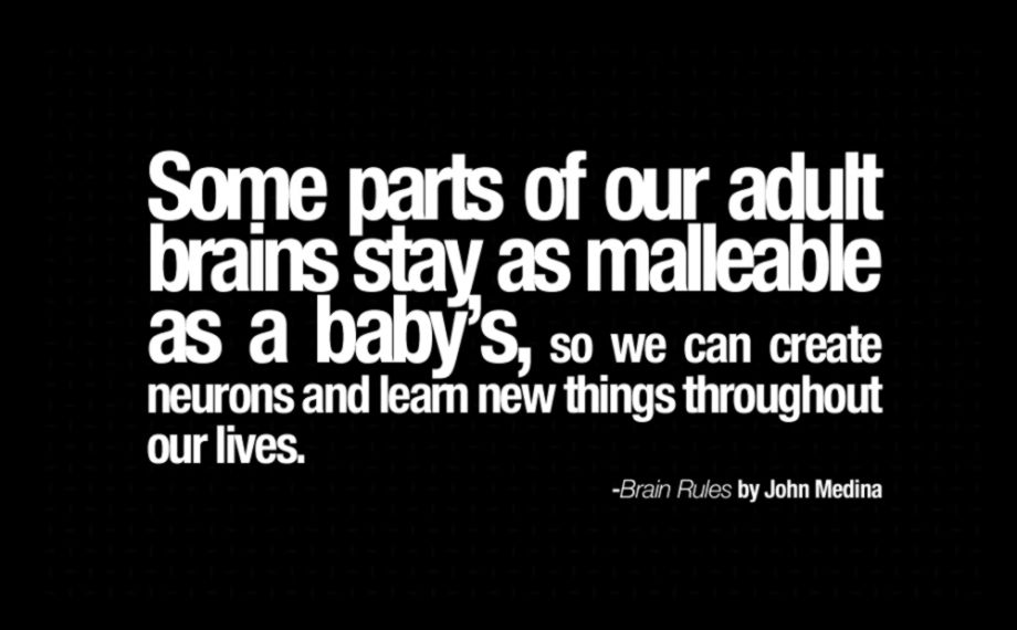 Quotes Brain | Wallpapers Galery