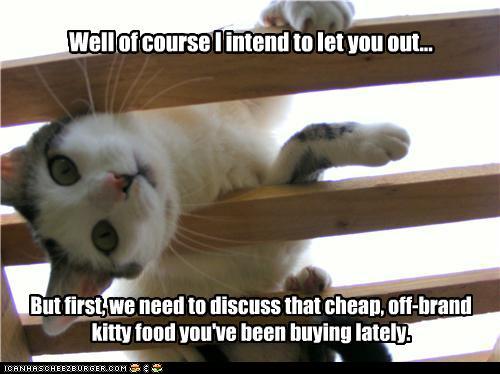 Vintage Images: LOL Cats