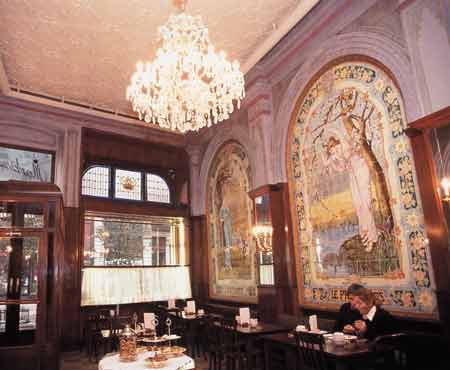 TAO'DAN HABERLER: markiz pastanesi...