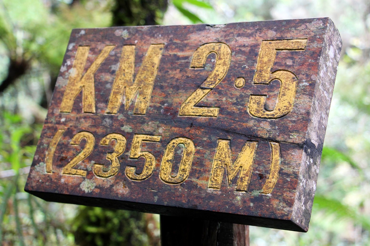 the viewing deck: Kilometer Markers, a Mt. Kinabalu Specials