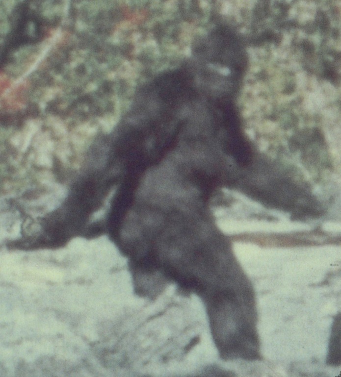 National Paranormal Association: Tracking the Bigfoot Phenomena, Do You ... National Paranormal Association: Tracking the Bigfoot Phenomena, Do You ...