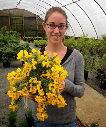 The Plant Hunter: Register Today: Independent Plant Breeders Conference