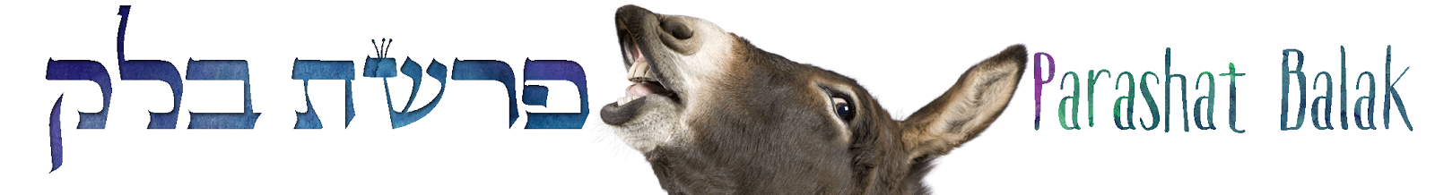 By His EVERY Word: A Prophet for Profit | Parashat Balak | By His EVERY ...