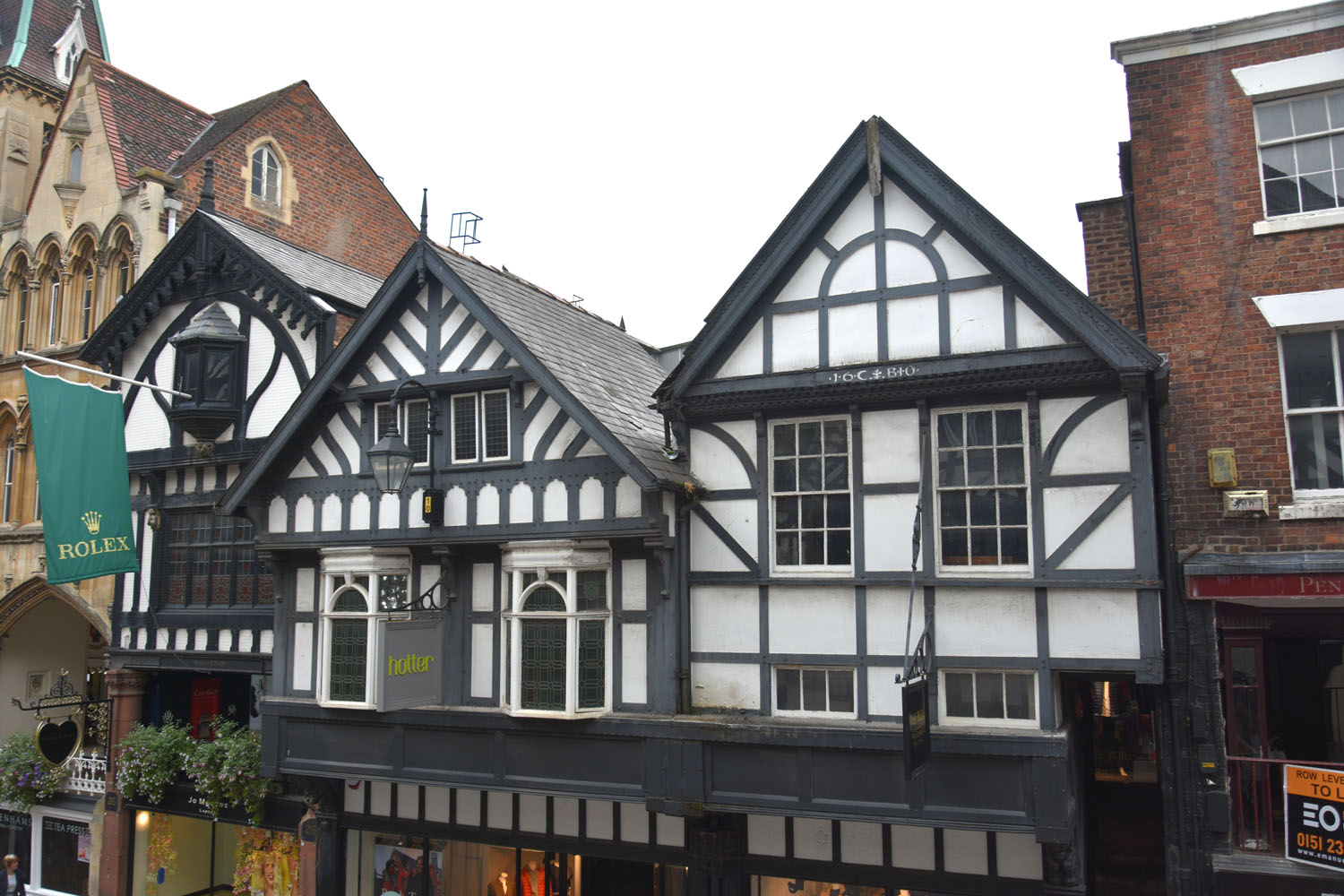 Purple Donsu: Bookbinders at Chester