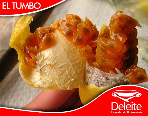 EL TUMBO ~ DELEITE GASTRONOMIA