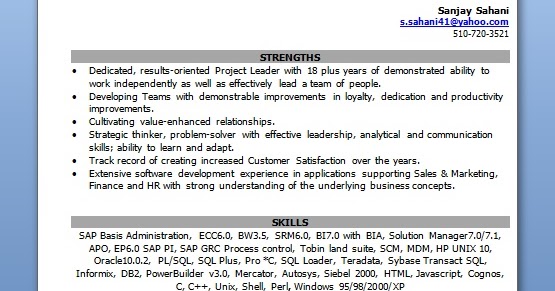 Account Focal Sample Resume Format in Word Free Download