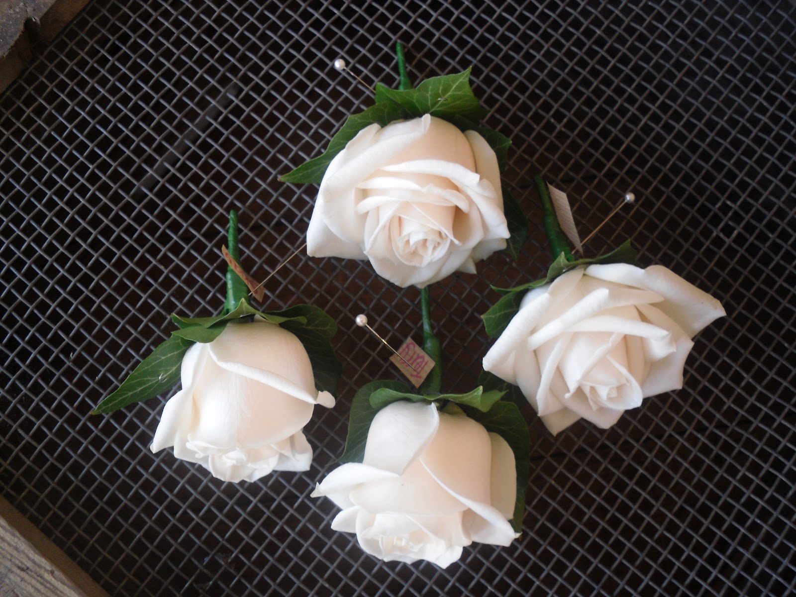 Flowers in Bloom: September 2012