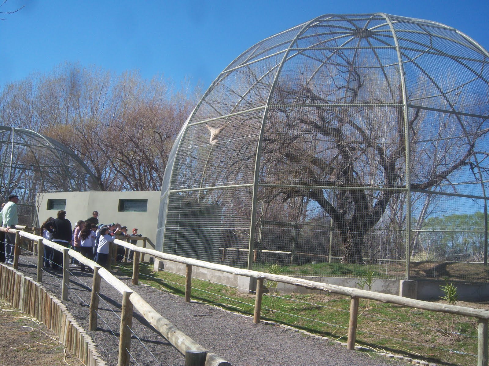 VALLE de la PATAGONIA: El Colegio AMEN en el zoo Bubalco