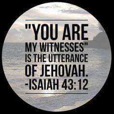 Jw.org Entertainment