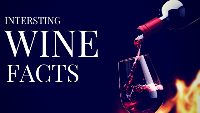 Interesting Wine Facts You Probably Didn’t Know