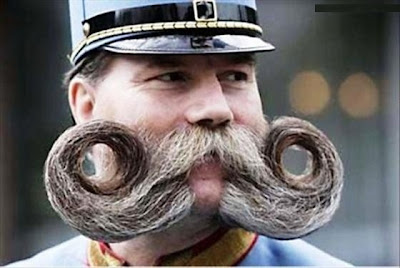 F 4 FUNS: Amazing Mustaches