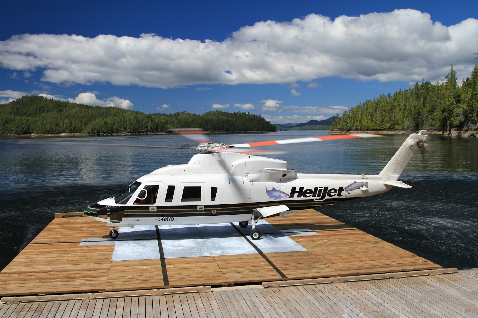 TravelMarx: West Coast Resorts, The Lodge at Whale Channel for the Non ...