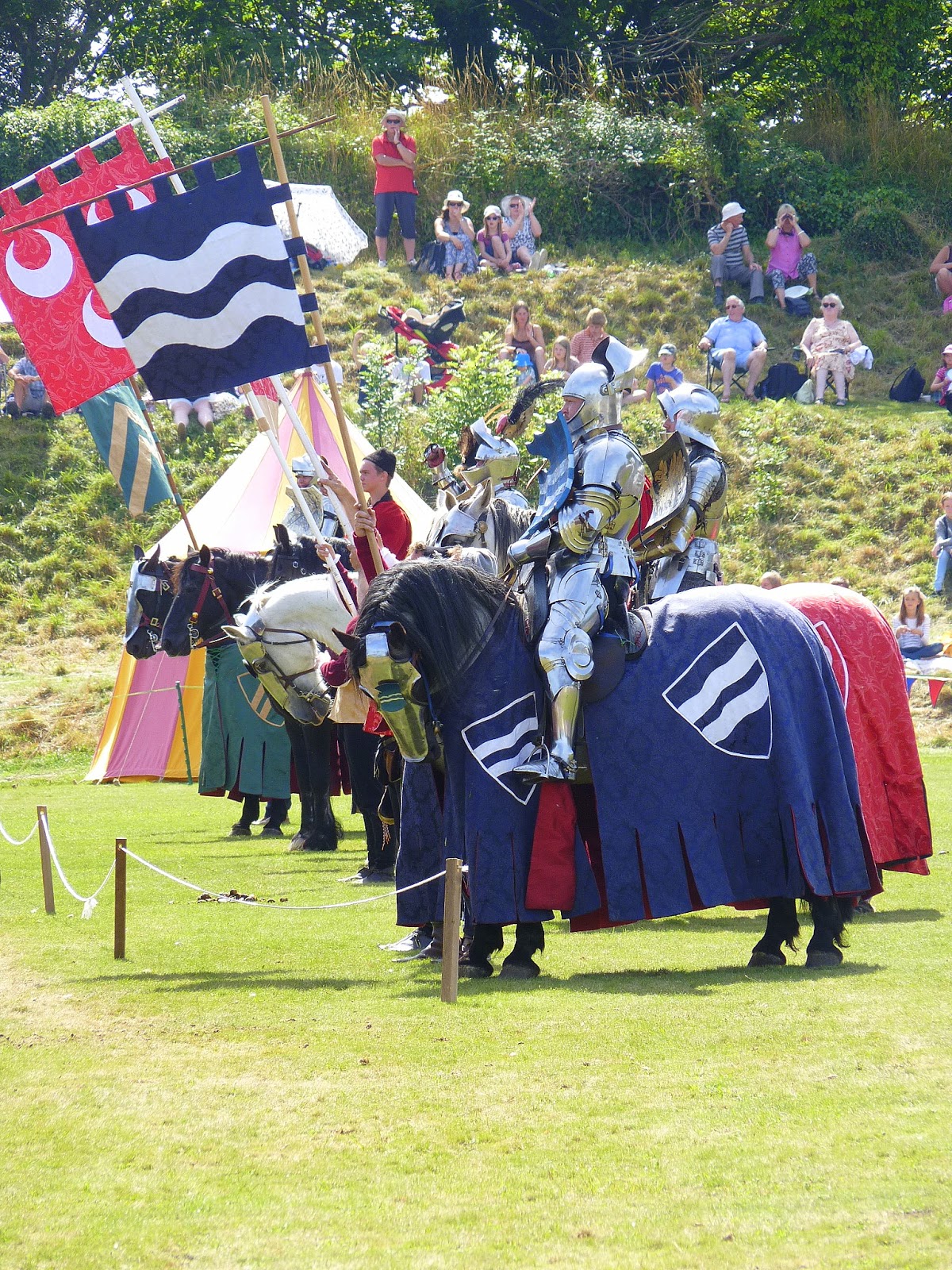 Birding For Pleasure: Jousting At Carisbrooke Castle