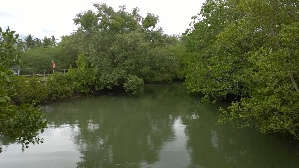 Lobo, Batangas – a Place of Wonder and Simplicity