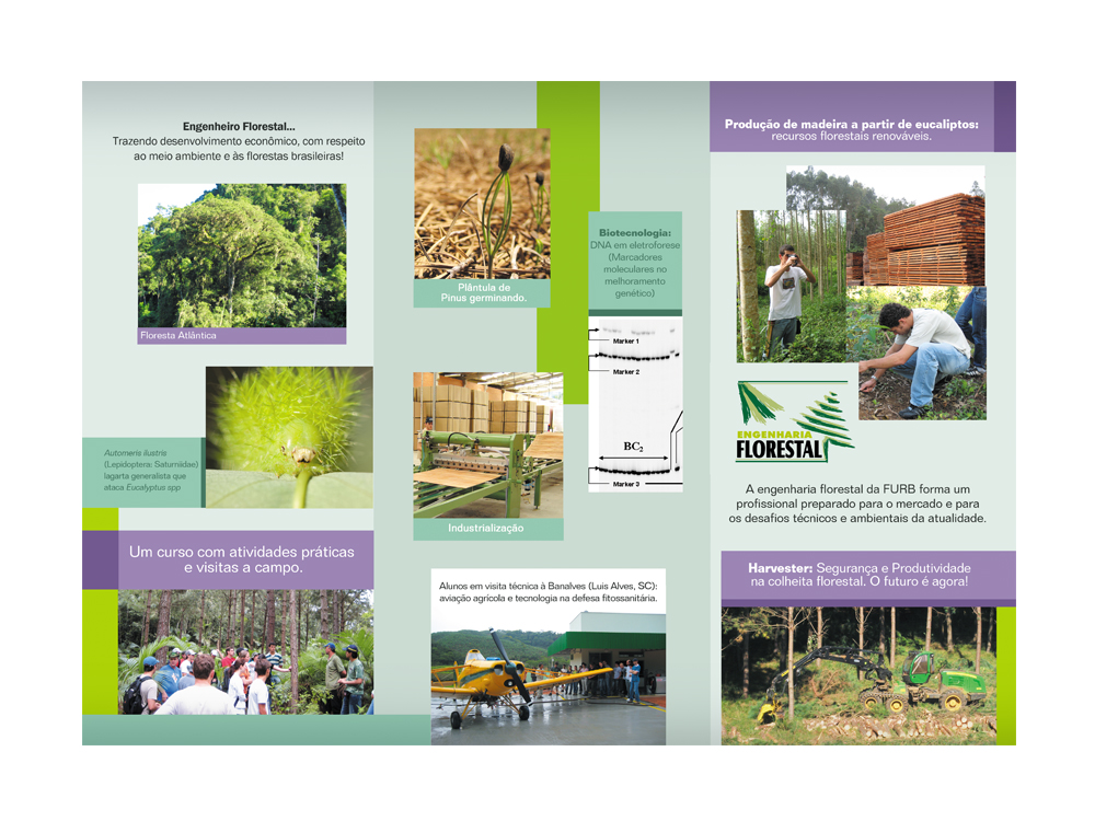 Promova o desenvolvimento Econômico Sustentável!