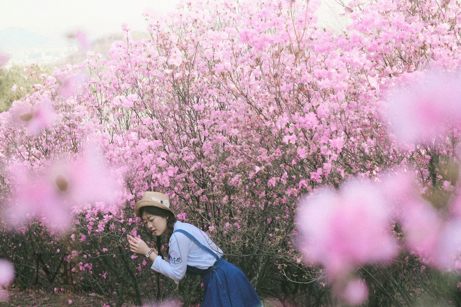 Bucheon Wonmisan Azalea Festival - 원미산 진달래 축제 - Mini en Monde