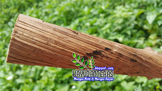 Koleksi Teras Kayu dan Batu