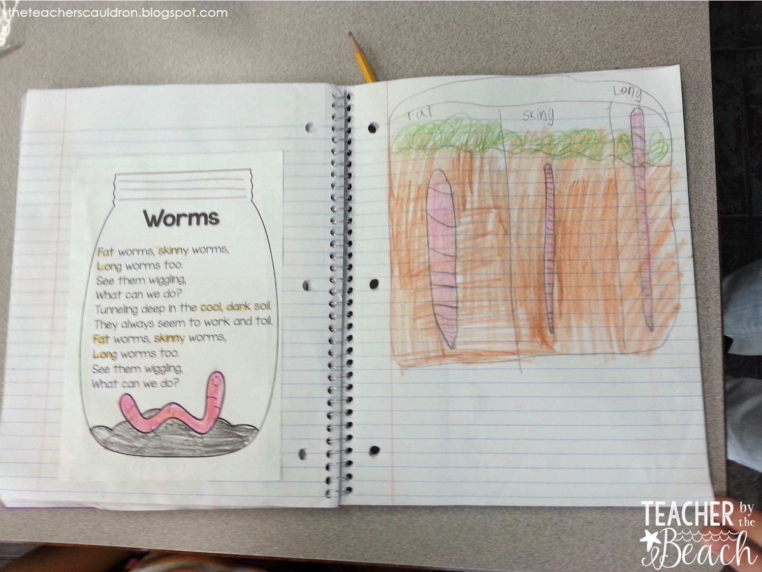 Fun with WORMS! - Teacher by the Beach