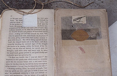 RAZ: PATRICIA LARSEN