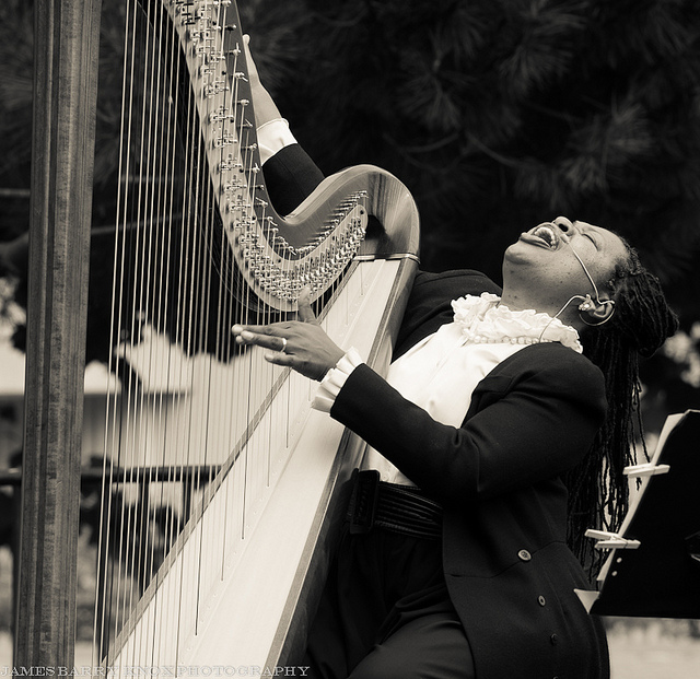 Interchange: Wanda's Picks Friday, August 23, 2013