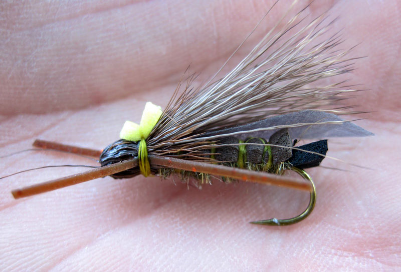 Jon Baiocchi Fly Fishing News: Skwala Stoneflies Are Starting to Hatch ...