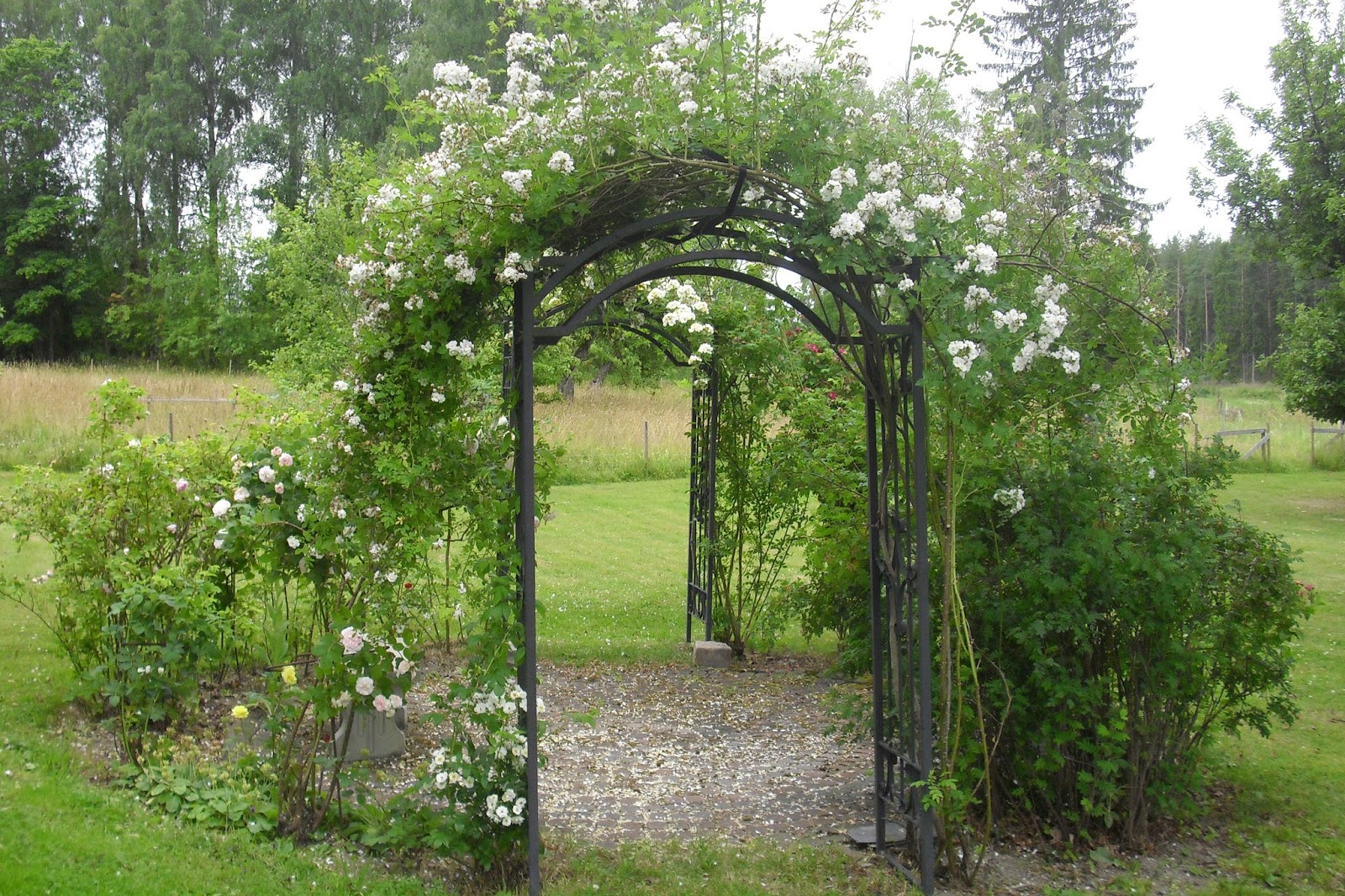 Vilt og vakkert: Ikke akkurat som Thelma og Louise,