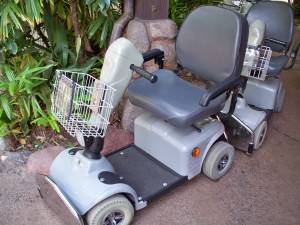 Using an ECV at Disney - Castle Vacations