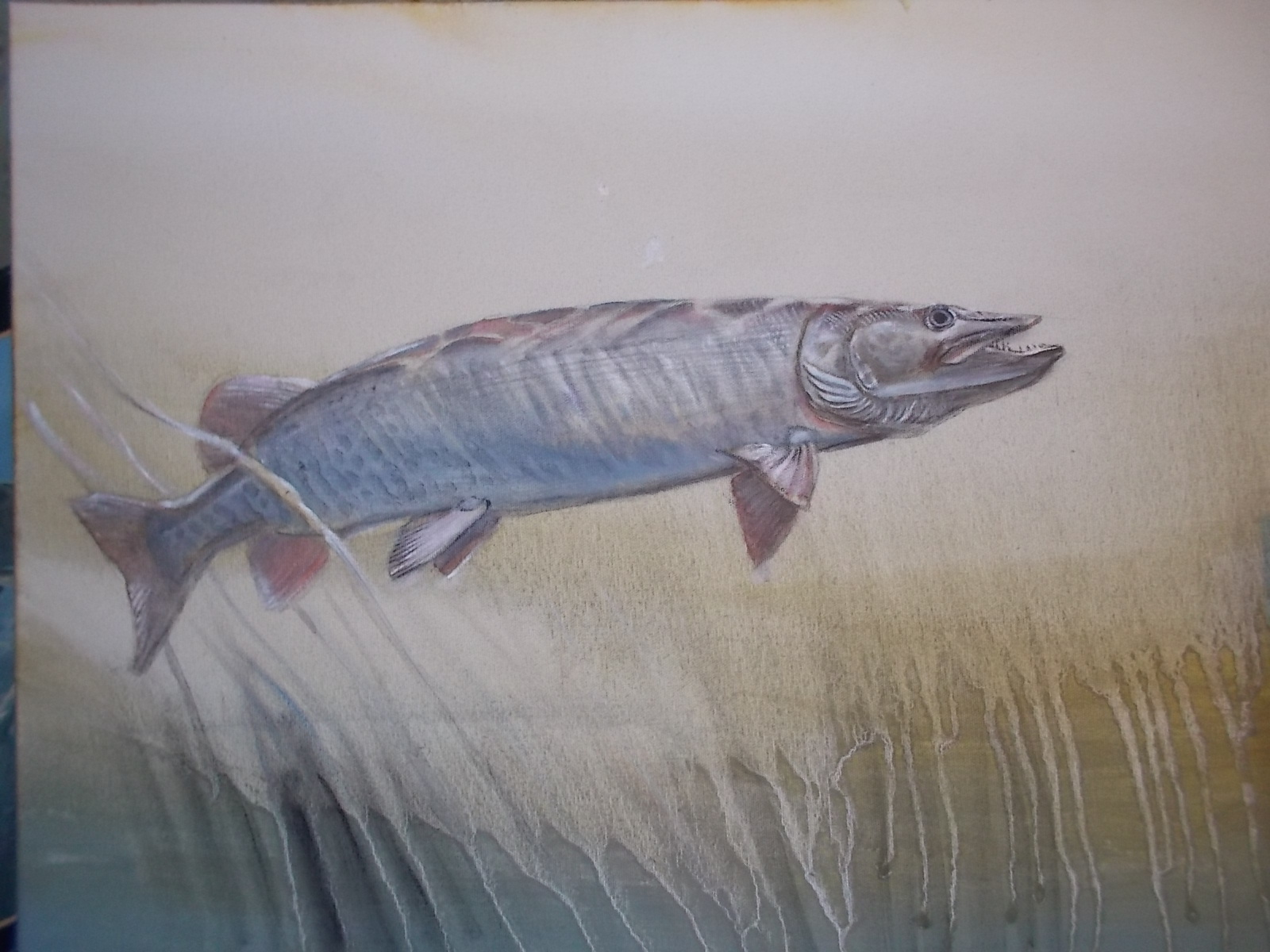 CHARLES WEISS ART: Muskie painting; Swimming through the valley