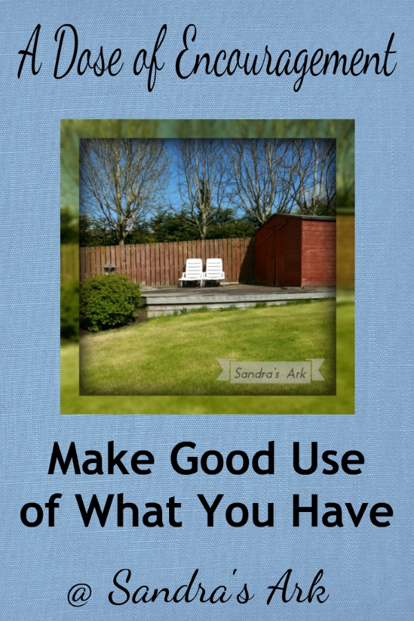 Sandra's Ark: Make Good Use of What you Have - A Dose of Encouragement