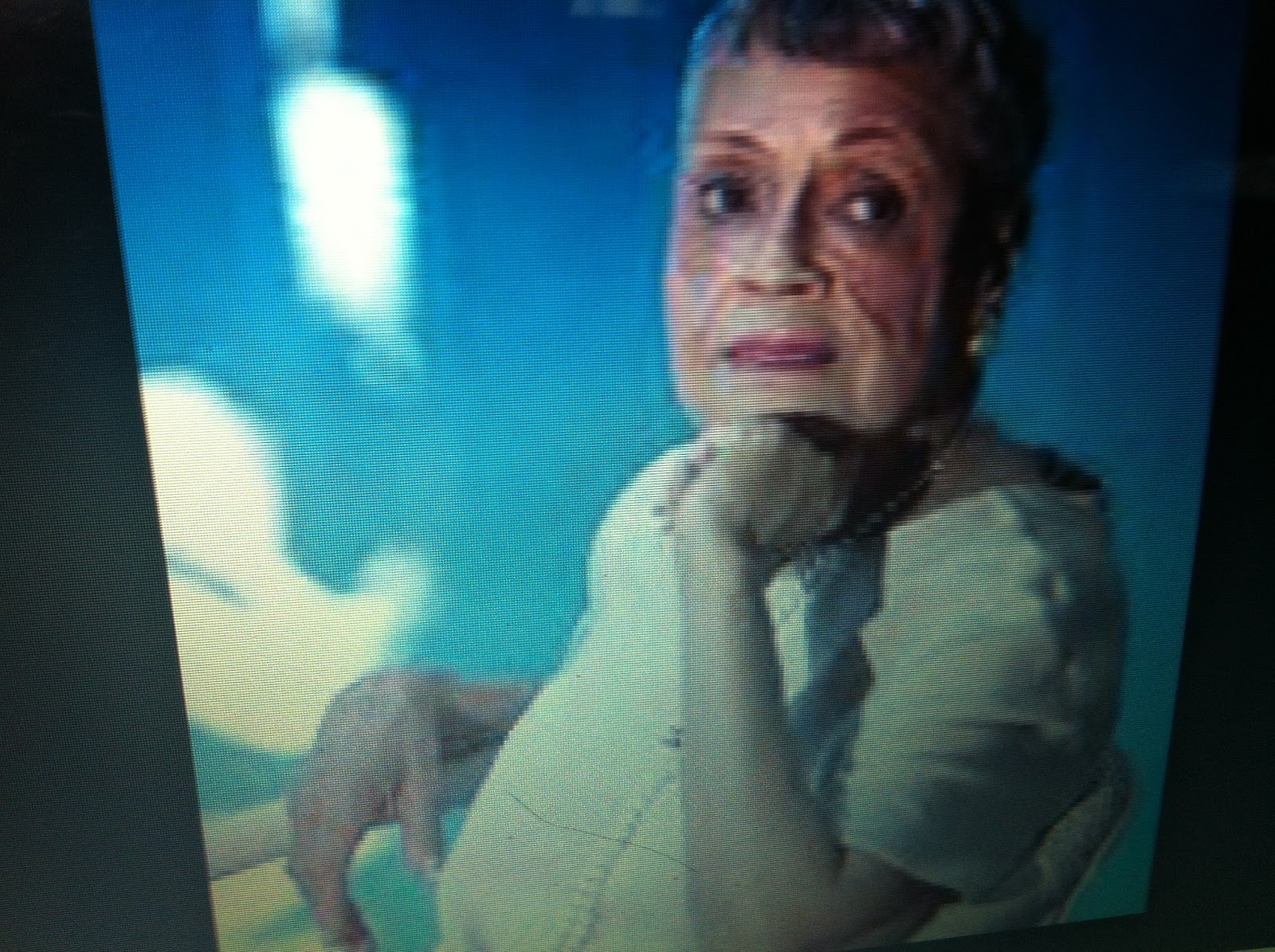 THE BLACK SOCIAL HISTORY:: BLACK SOCIAL HISTORY - AFRICAN AMERICAN ...