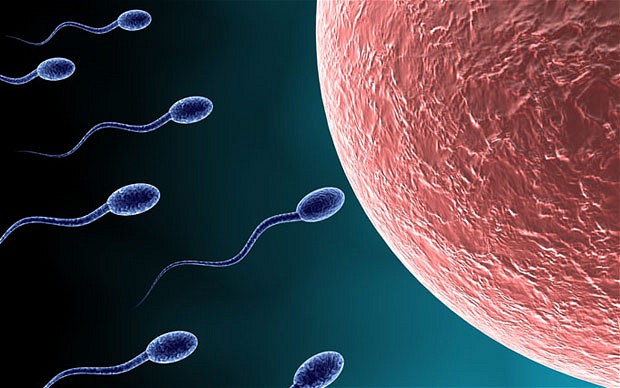Scientists Grow Sperm from Skin Sample | HISTORIES OF THINGS TO COME