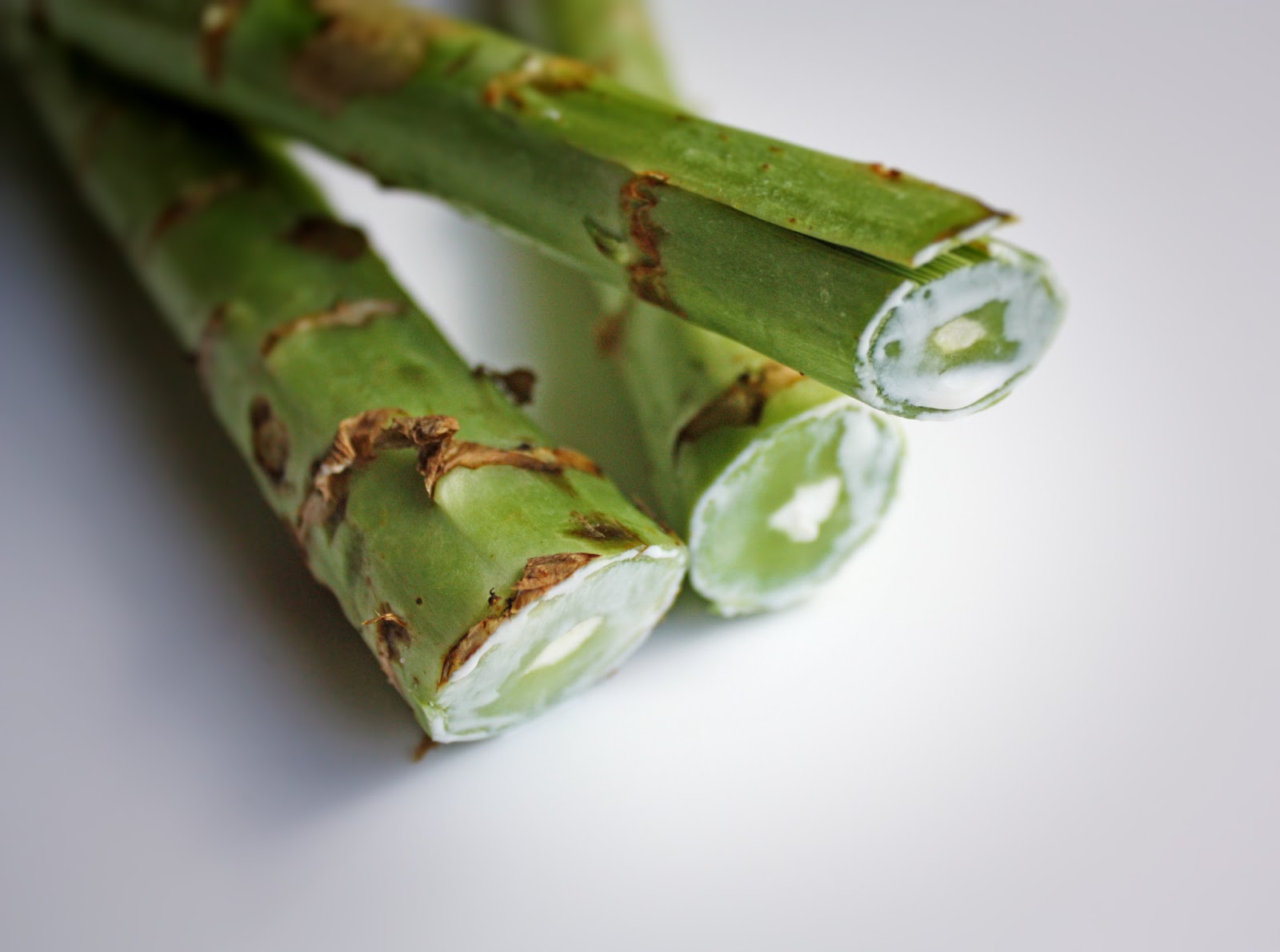 Things About Food: Taking "stalk" of lettuce