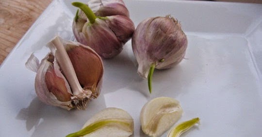 Gourmet by Sally Rae: Is Sprouted Garlic Safe to Eat?