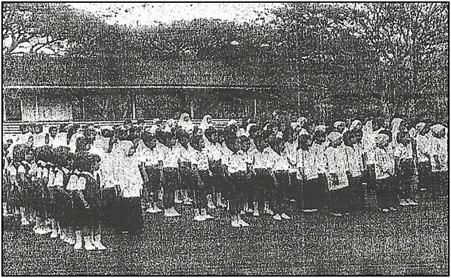 Sekolah Kebangsaan Simpang Rawai: Sejarah SK Simpang Rawai