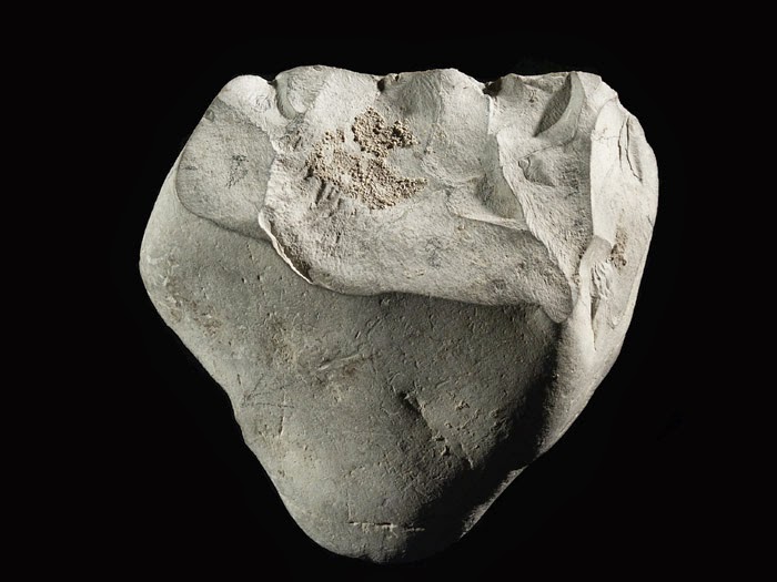 1_4.PREHISTORIA: LES EINES A LA PREHISTÒRIA