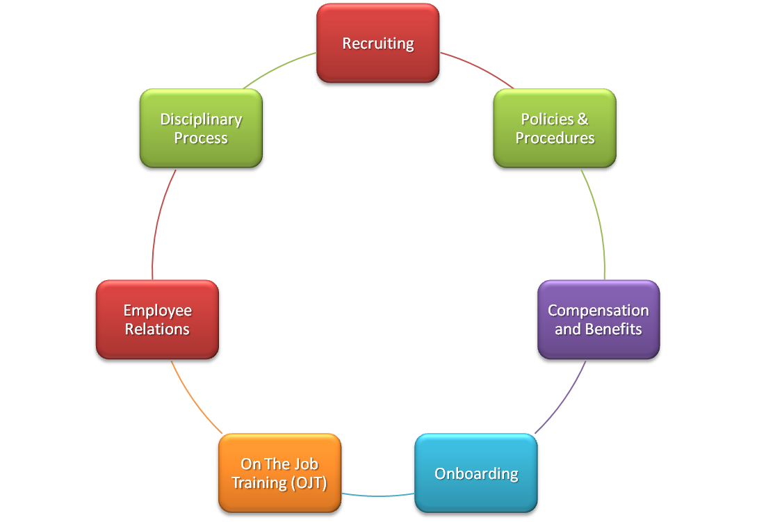 HR 101 - The Basics: HRD and HRM - What's the Difference?