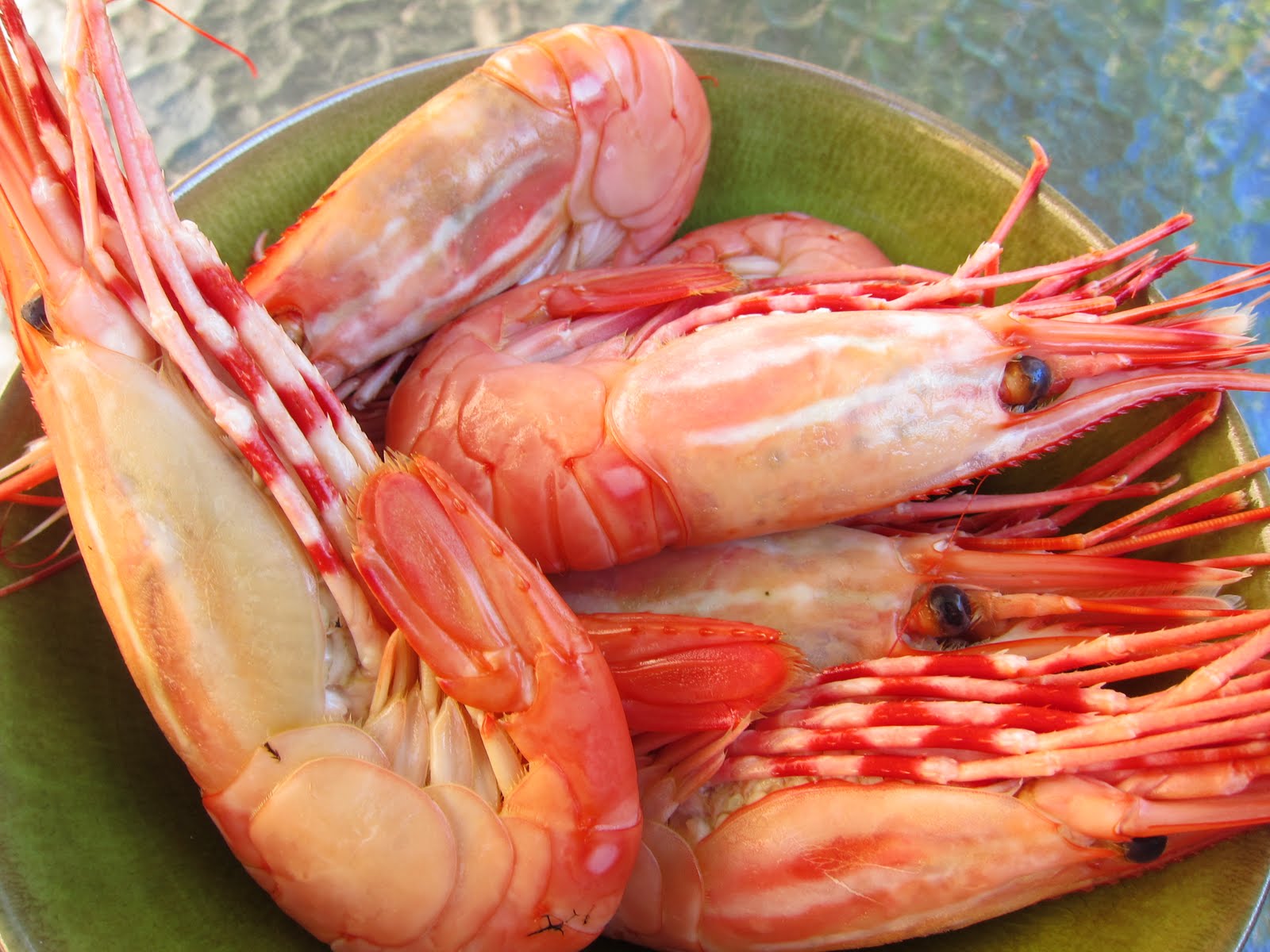Pacific Northwest Seasons: Northwest Flavors: Wild Spot Prawns