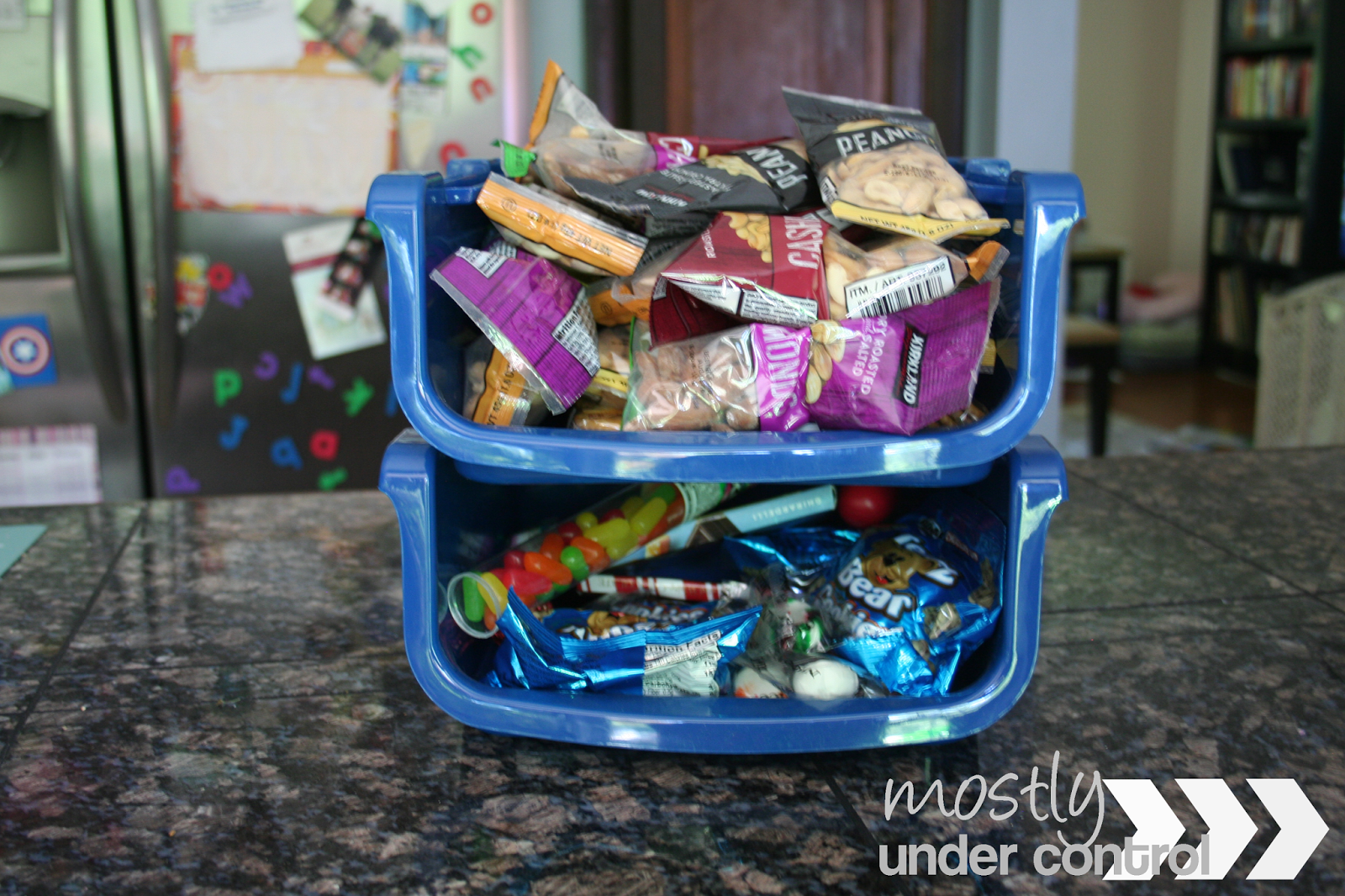 Pantry Organization from The Dollar Tree - Mostly Under Control