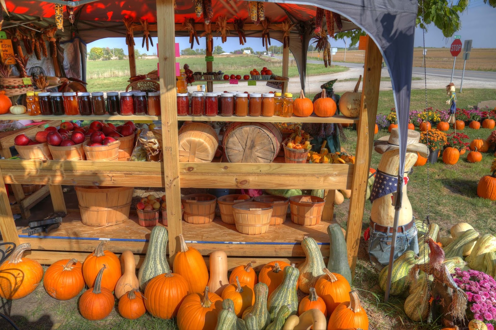 John and Sigrid's Adventures: Fall Country Vegetable Stand - 10/11/2013