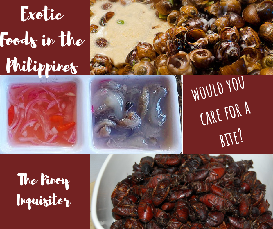 Exotic Foods in the Philippine (Would You Care for a Bite?)