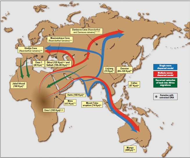 Rapid Uplift: Review- Human Dispersals Out Of Africa